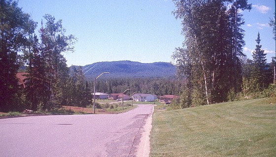 Mount Forest Map
